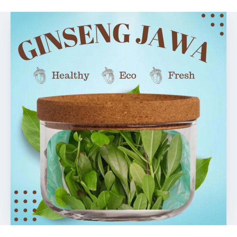 Jual Sayur Ginseng segar 100gr SuPeR/PelaNcaR ASI, Jual ginseng jawa ...