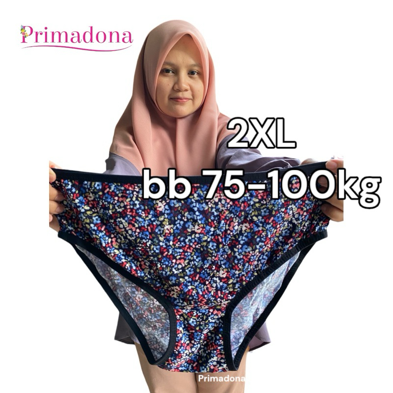 Jual 2XL bb 75-100kg CD BIG SIZE CD HAMIL PREMIUM PLUS SIZE Wanita / CELANA DALAM JUMBO Elastis ...