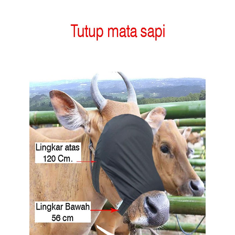 Jual Tutup mata sapi penutup mata sapi qurban sapi kurban blind cow ...