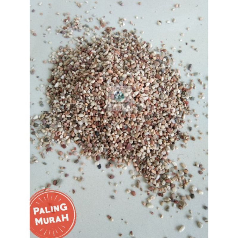 Jual pasri krikil buat taman | Shopee Indonesia