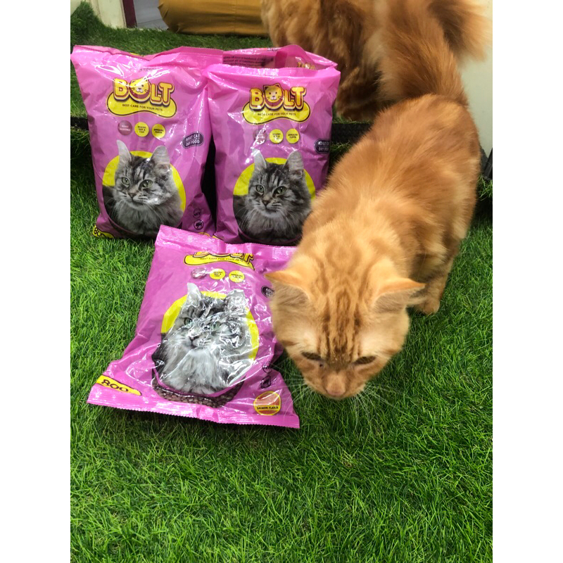 Jual pakan kucing dewasa murah bolt pink 800gr rasa salmon | Shopee ...