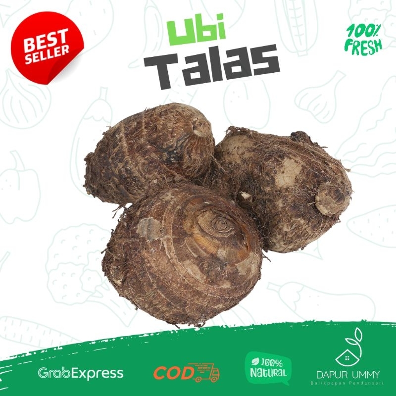 Jual TALAS • Ubi Talas • Keladi 500g - 1kg | Shopee Indonesia