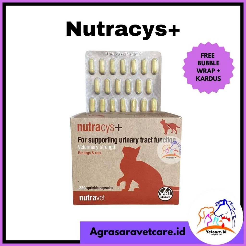 Jual NUTRACYS + PLUS (Per BLISTER/ 20 Tablet)- Obat Kucing Susah ...