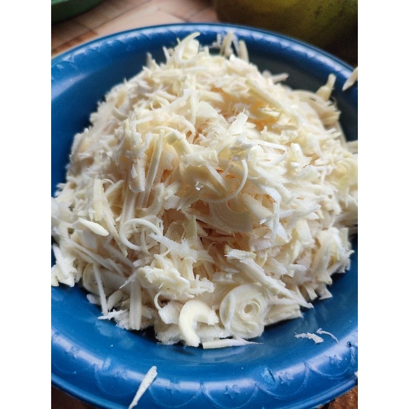 Jual Rebung Muda Muria/ Bambu Muda Matang Vacum Frozen Asli Muria berat ...