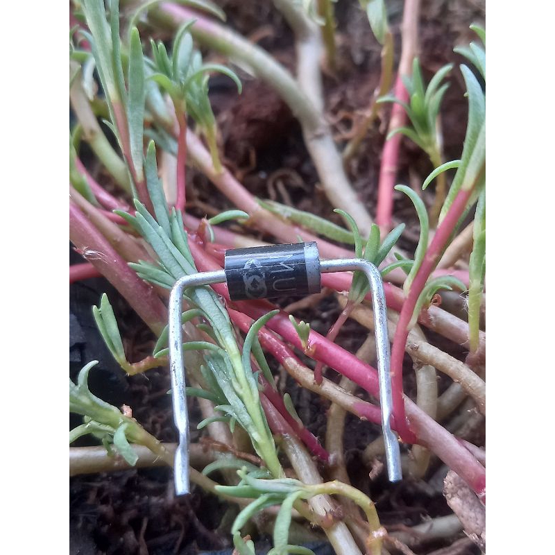 Jual dioda mur 480 mur480 orginalll | Shopee Indonesia