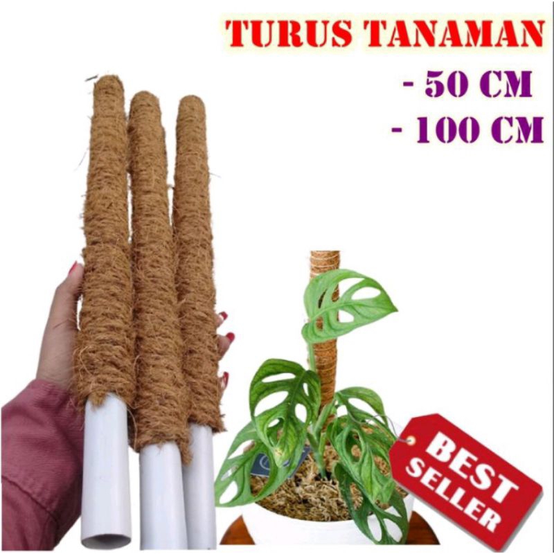 Jual Turus Penyangga Tanaman Rambat - Turus Penyangga Tanaman Serabut ...
