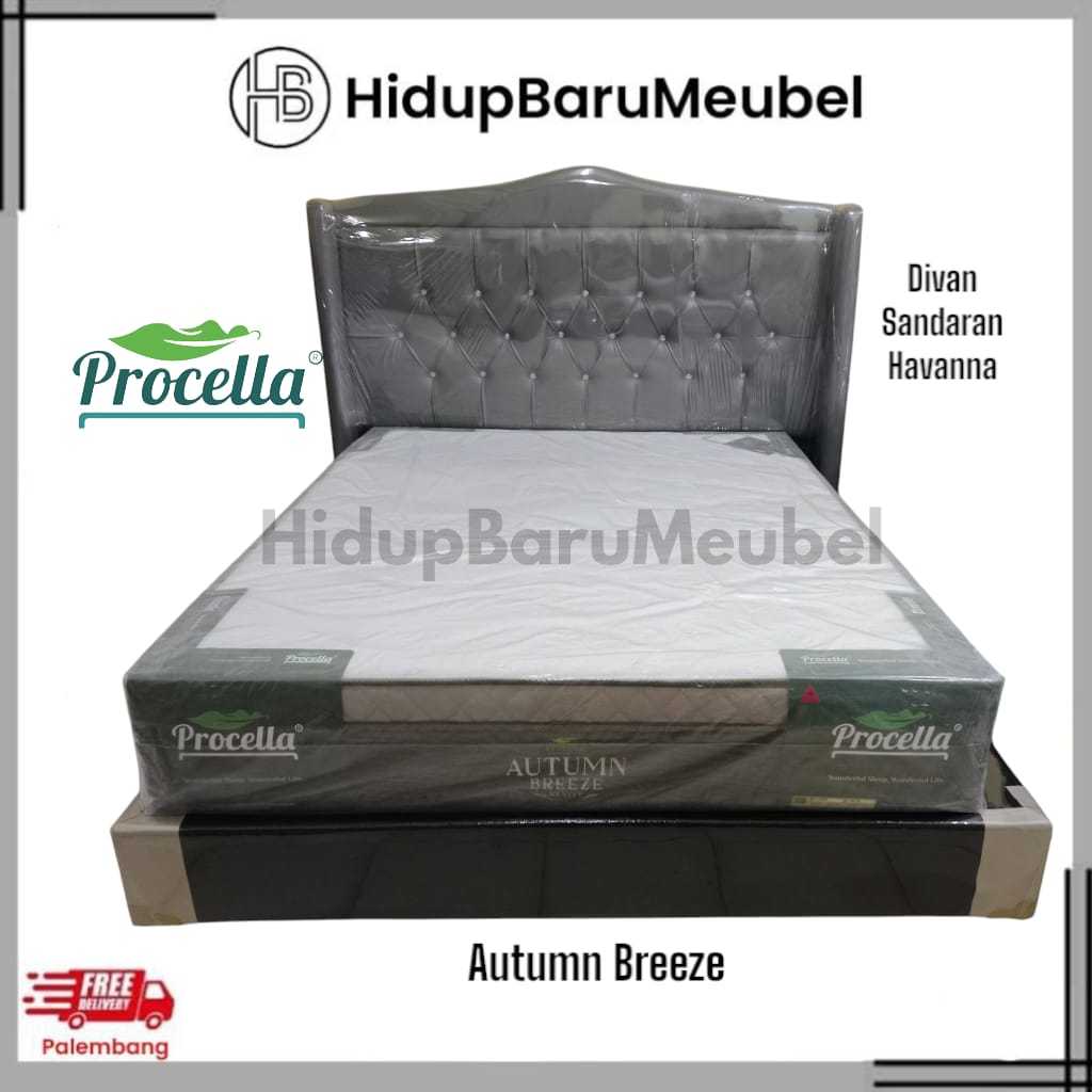 Jual Springbed AUTUMN BREEZE by Procella Divan Sandaran Havanna ...