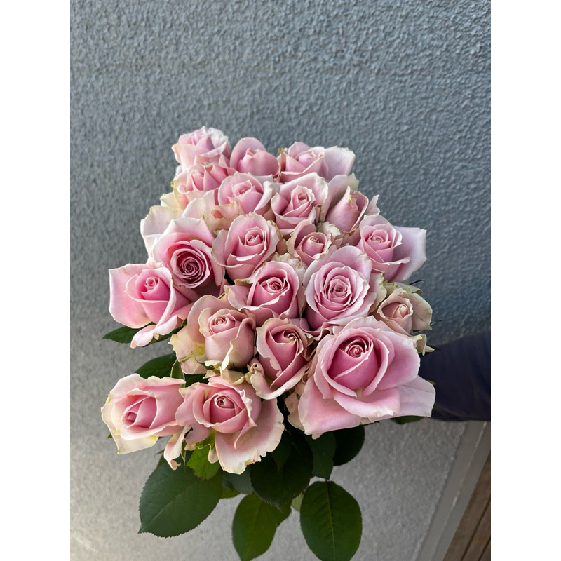 Jual ANANDA FLORIST | MAWAR PINK SWEET BUNGA POTONG SEGAR | Shopee ...