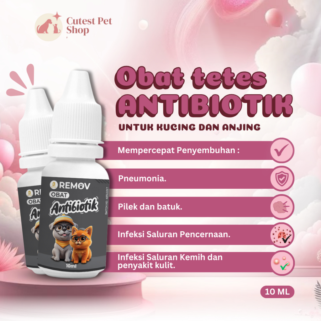 Jual Obat Tetes Antibiotik Kucing Dan Anjing | Anti Biotik Mencegah ...