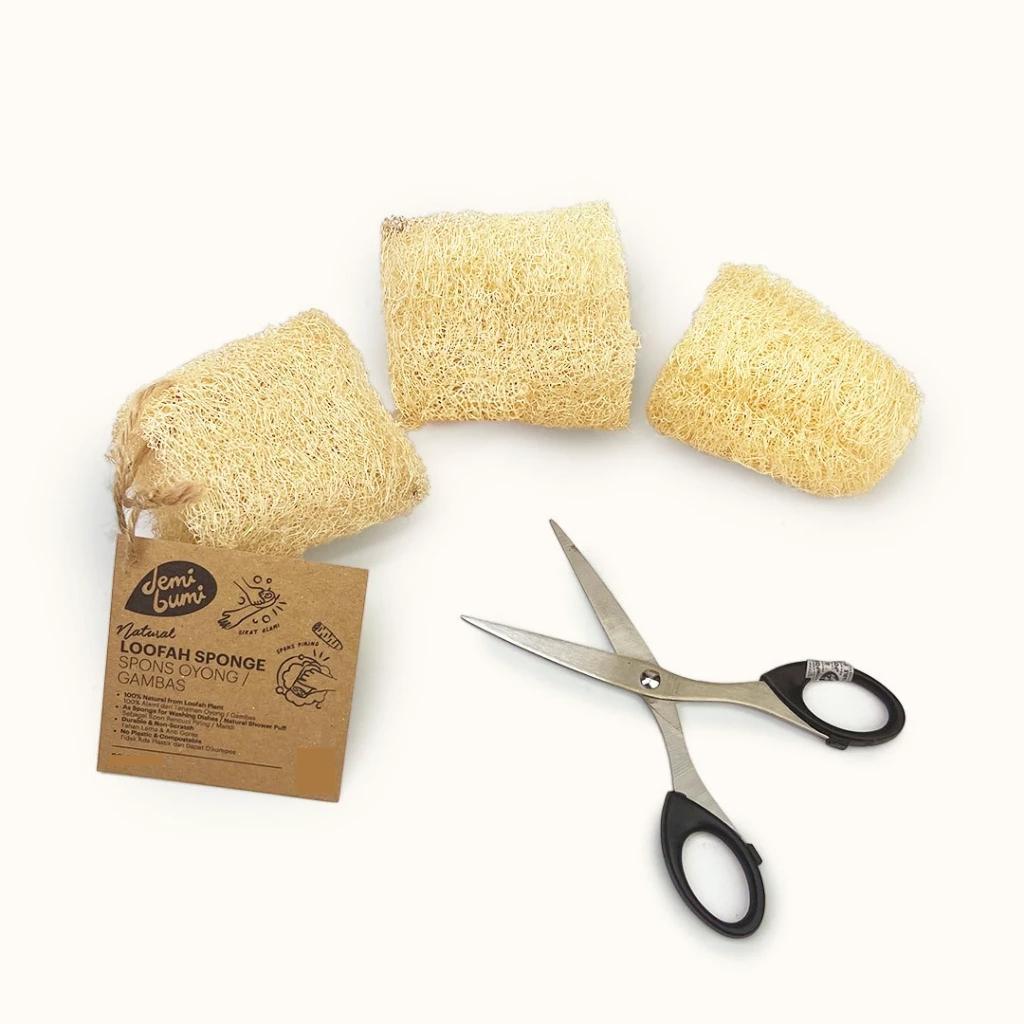 Jual Natural Loofah Sponge/ Spons Oyong/ Gambas DemiBumi (Ready Stock ...