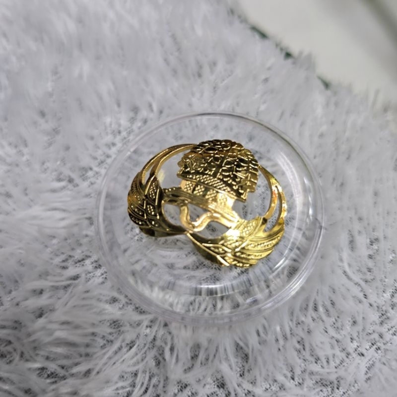 Jual pin korpri kuningan /pin ASN / emblem pns / perlengkapan pns ...