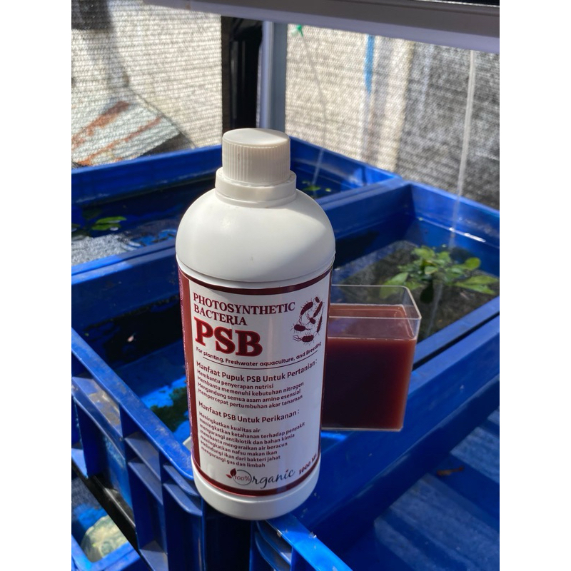 Jual PSB(Photosynthetic bacteria) | Shopee Indonesia