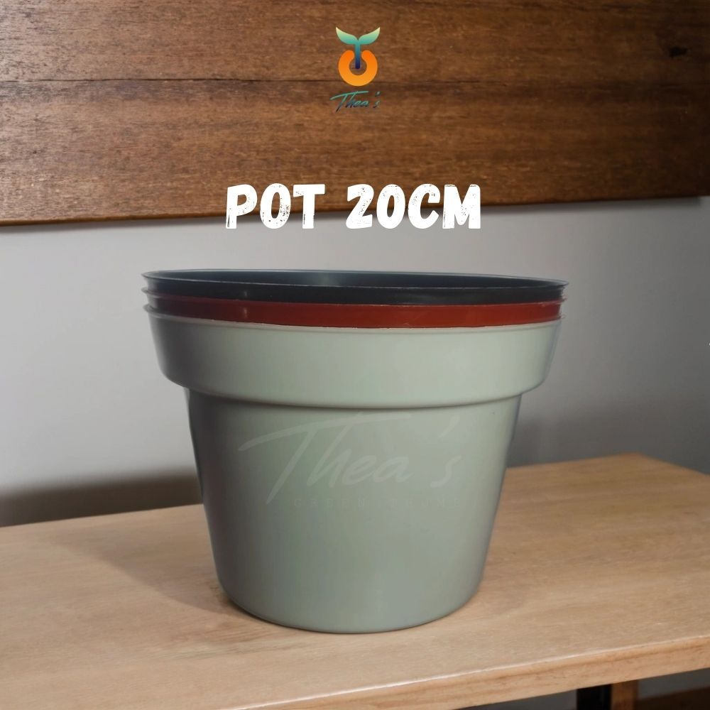 Jual POT PLASTIK 20CM (SUKULEN, KAKTUS, BUNGA TANAMAN LAINNYA) | Shopee ...