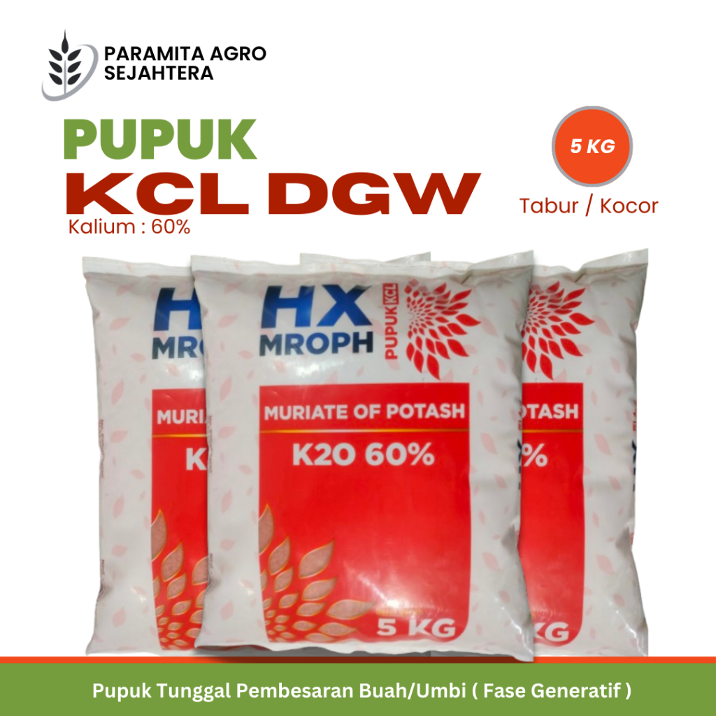 Jual PUPUK KCL MOP Kalium 60% 5 KG Kemasan Pabrik - Pupuk Pembesaran ...