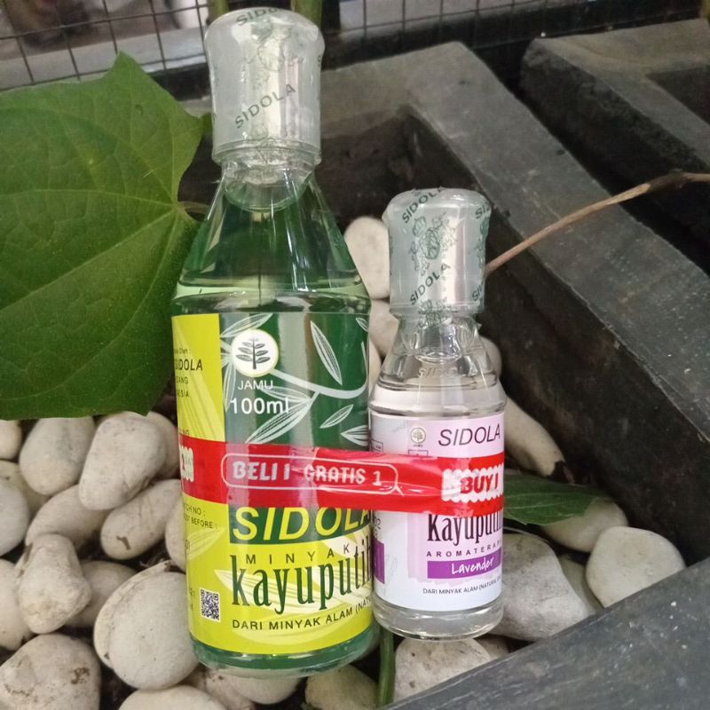 Jual MINYAK KAYU PUTIH SIDOLA 100ML BUY 1 GET 1 FREE 30ML | Shopee ...