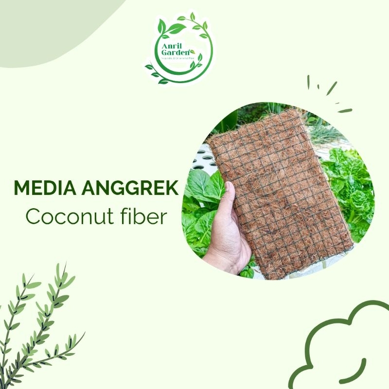 Jual Media tempel Anggrek papan serabut kelapa coconut fiber | Shopee ...