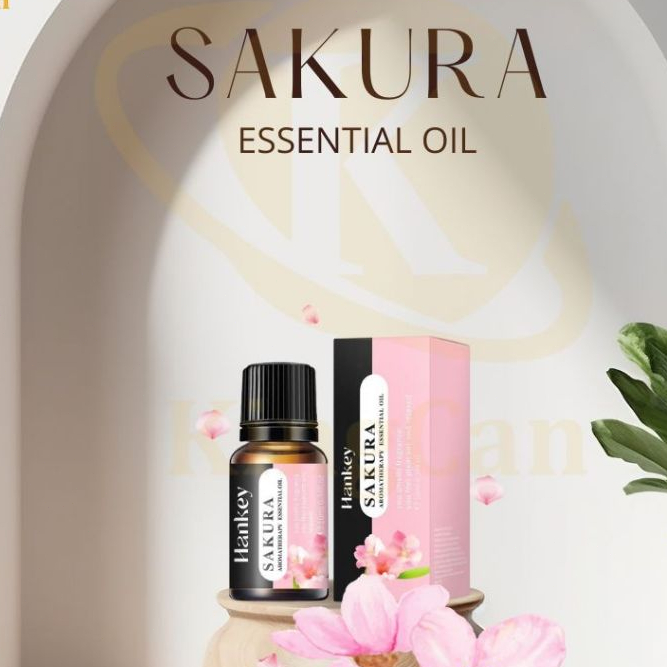 Jual Minyak Esensial Aromaterapi 100% Alami Larut Air 10mL– Humidifier wangi alami & awet ...