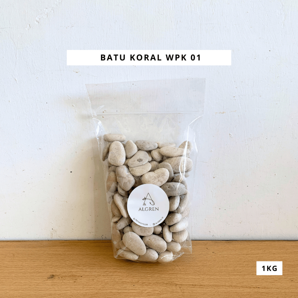 Jual Batu Koral WPK 01 Putih Tulang 1 kg | Batu Hias Tanaman | Batu Alam Taman | Dekorasi Taman ...