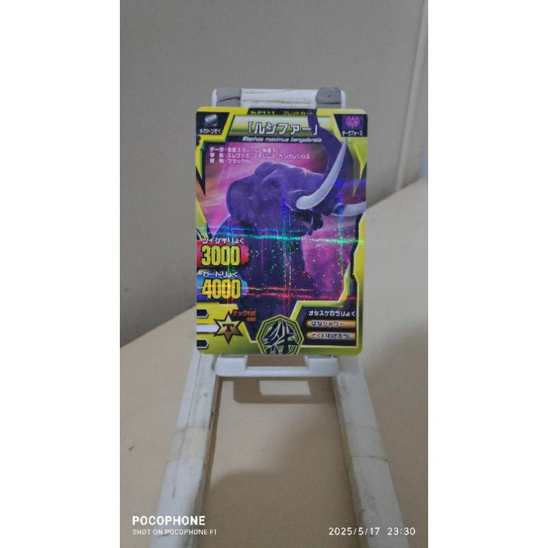 Jual kartu animal kaiser japan card friend card Lucifer bengal elephant | Shopee Indonesia