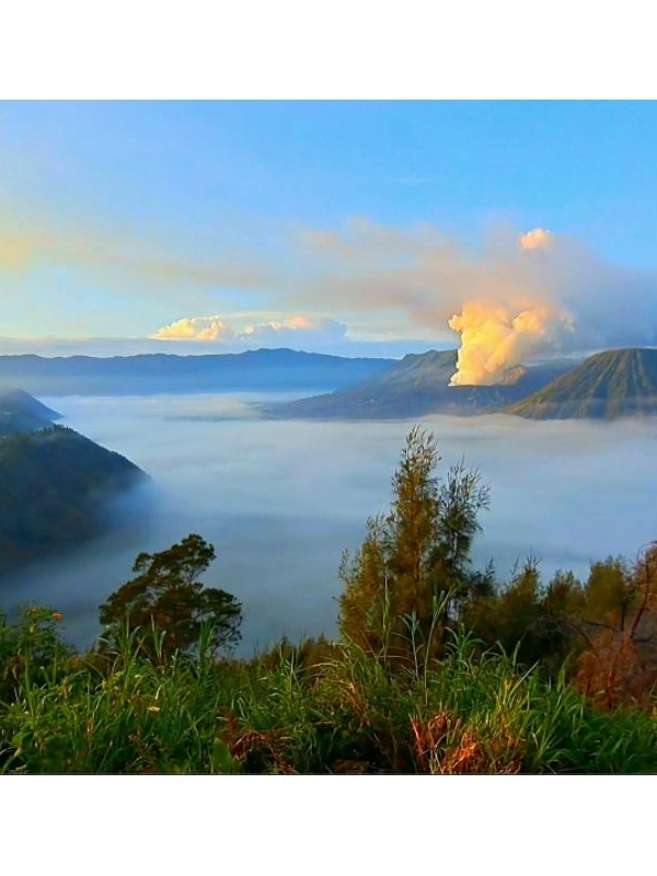 Jual SEWA KUDA DI GUNUNG BROMO | Shopee Indonesia