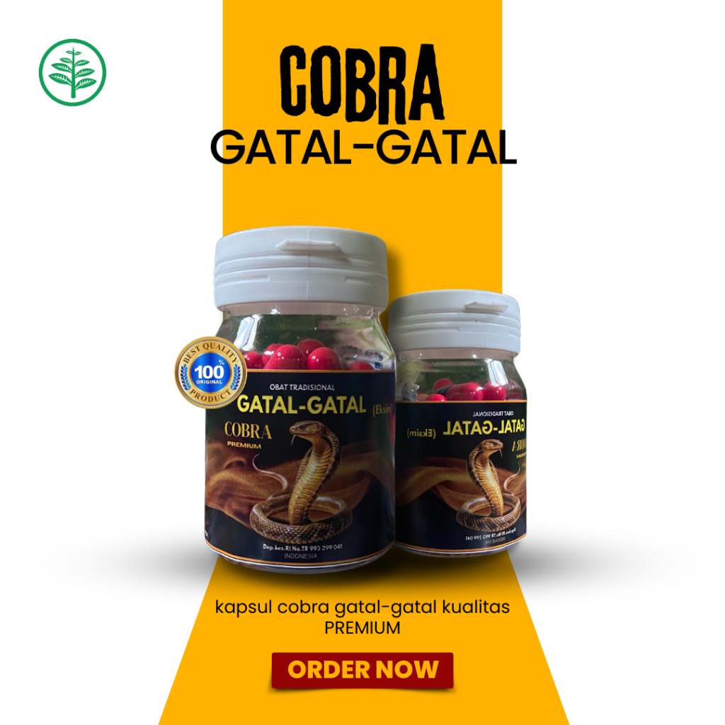 Jual KAPSUL COBRA ORIGINAL (OBAT GATAL-GATAL, EKSIM DAN LAINNYA) | Shopee Indonesia