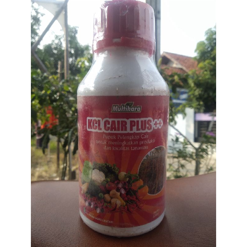 Jual KCL cair 500ml | Shopee Indonesia