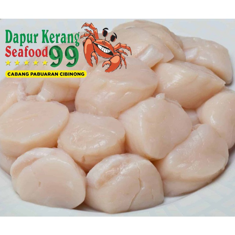 Jual Daging Kerang Kampak 1000gr 1kg Frozen | Shopee Indonesia