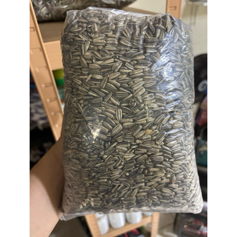 Jual Kuaci sangrai kecil kemasan 1kg | Shopee Indonesia