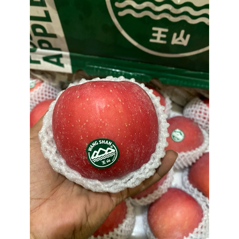 Jual apel fuji wangshan premium fresh Import 1kg ukuran besar | Shopee ...