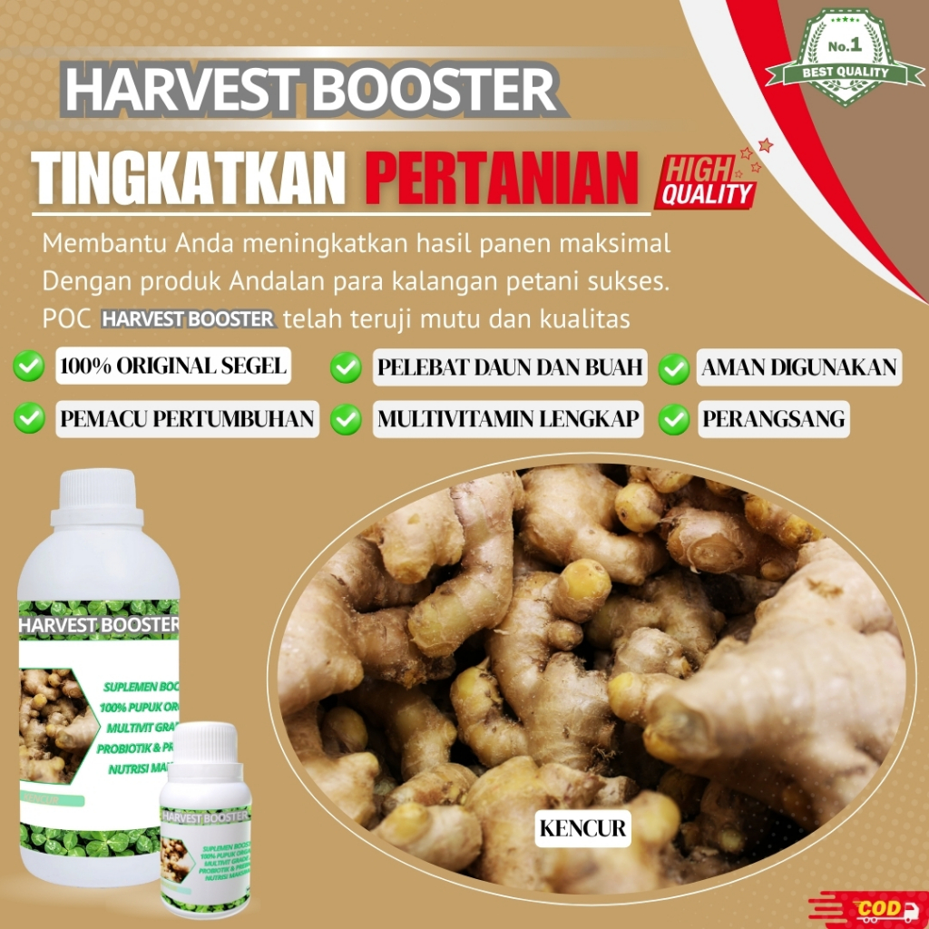 Jual PUPUK CAIR 100% ORGANIK untuk tanaman KENCUR Pemacu Pertumbuhan Pelebat Daun Dan Buah ...