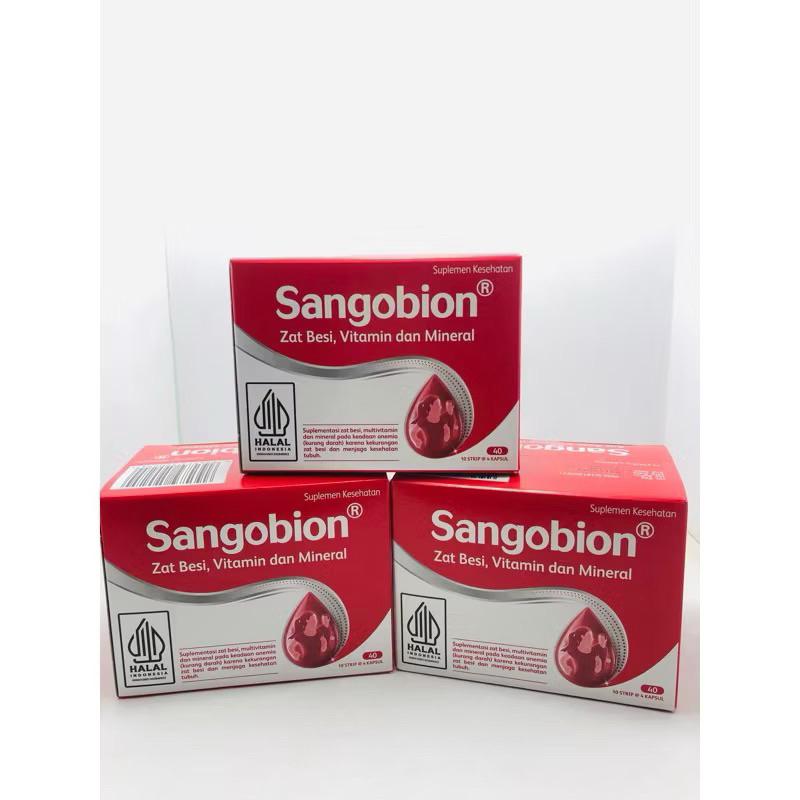 Jual Sangobion 1 Box isi 40 Kapsul | Kapsul Anemia/Penambah Darah ...
