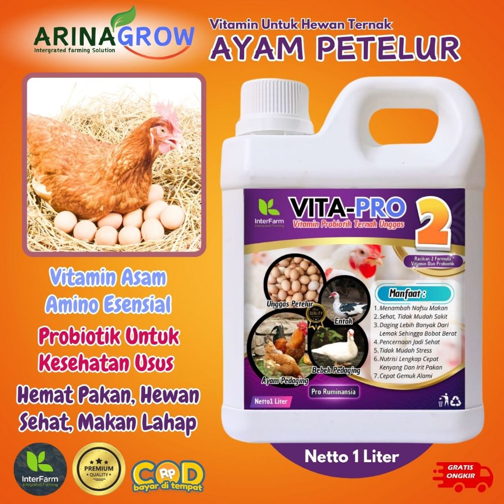 Jual Obat Ayam Petelur/ Vitamin penggemuk Ayam Petelur paling cepat ...
