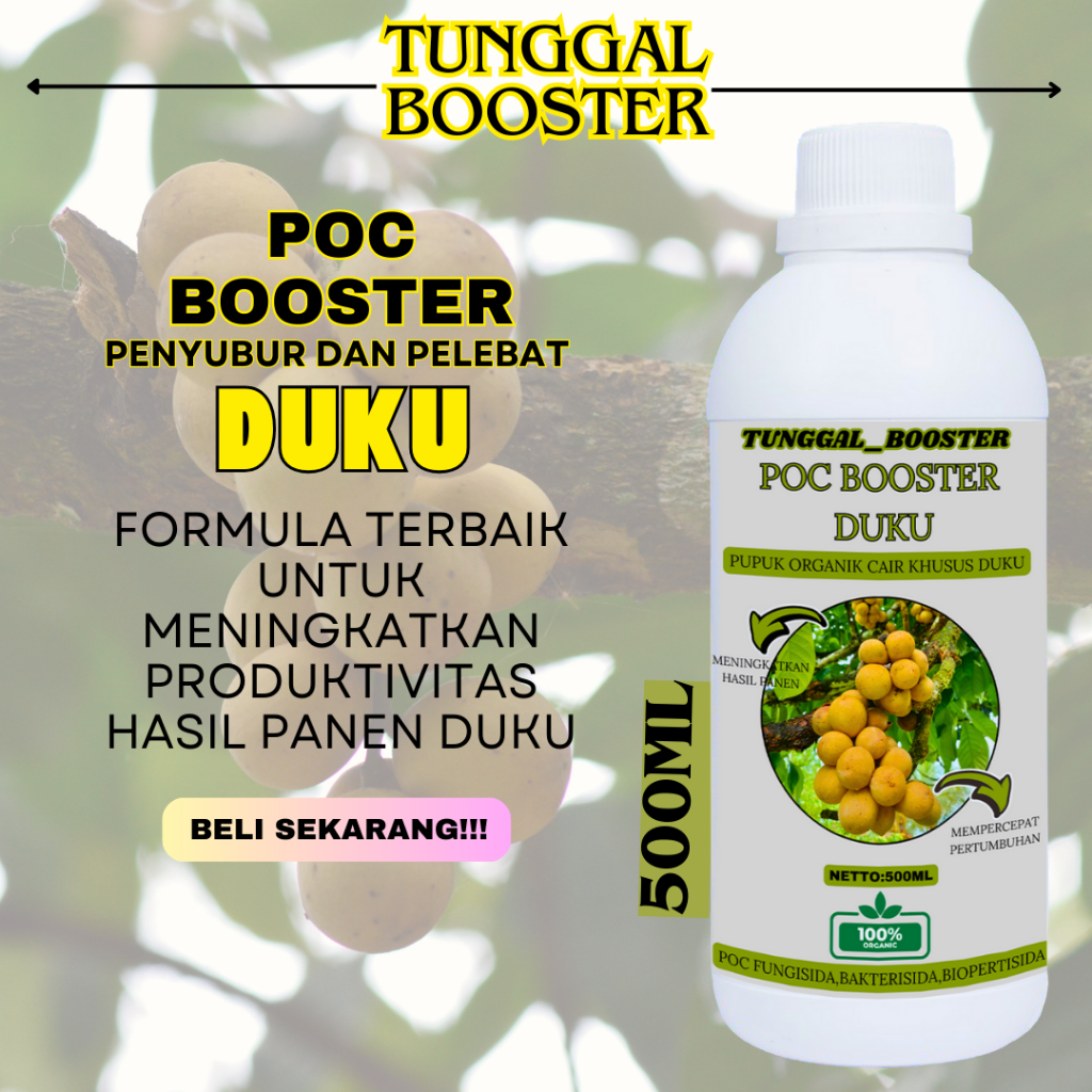 Jual POC Pupuk Organik Cair Tanaman Duku Premium 500ml-Booster Pelebat,Penyubur dan Perangsang ...