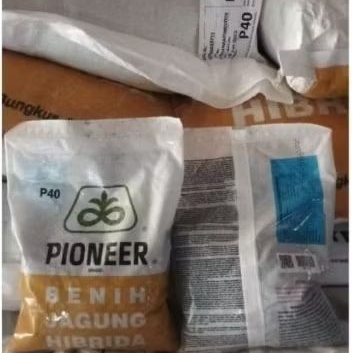 Jual PROMO COD BENIH JAGUNG HIBRIDA PIONEER P40 FAMILY 1KG ORIGINAL ...