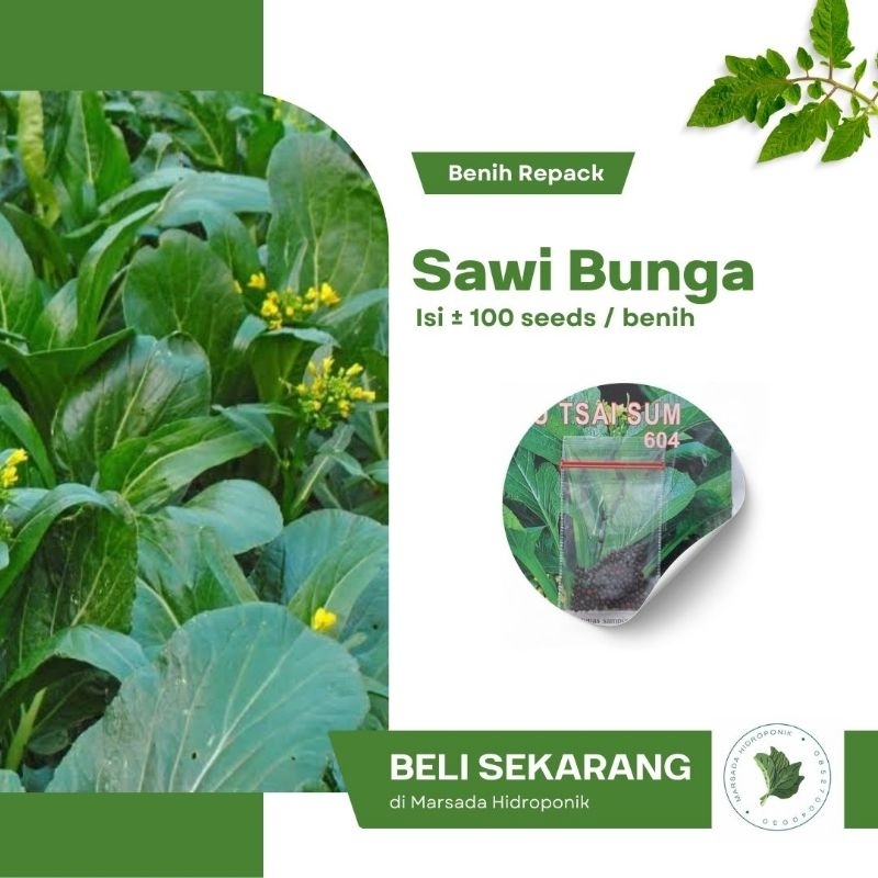 Jual Benih Bibit Sawi Bunga / Sawi Hongkong / Sawi Choy Sum Kemasan ...