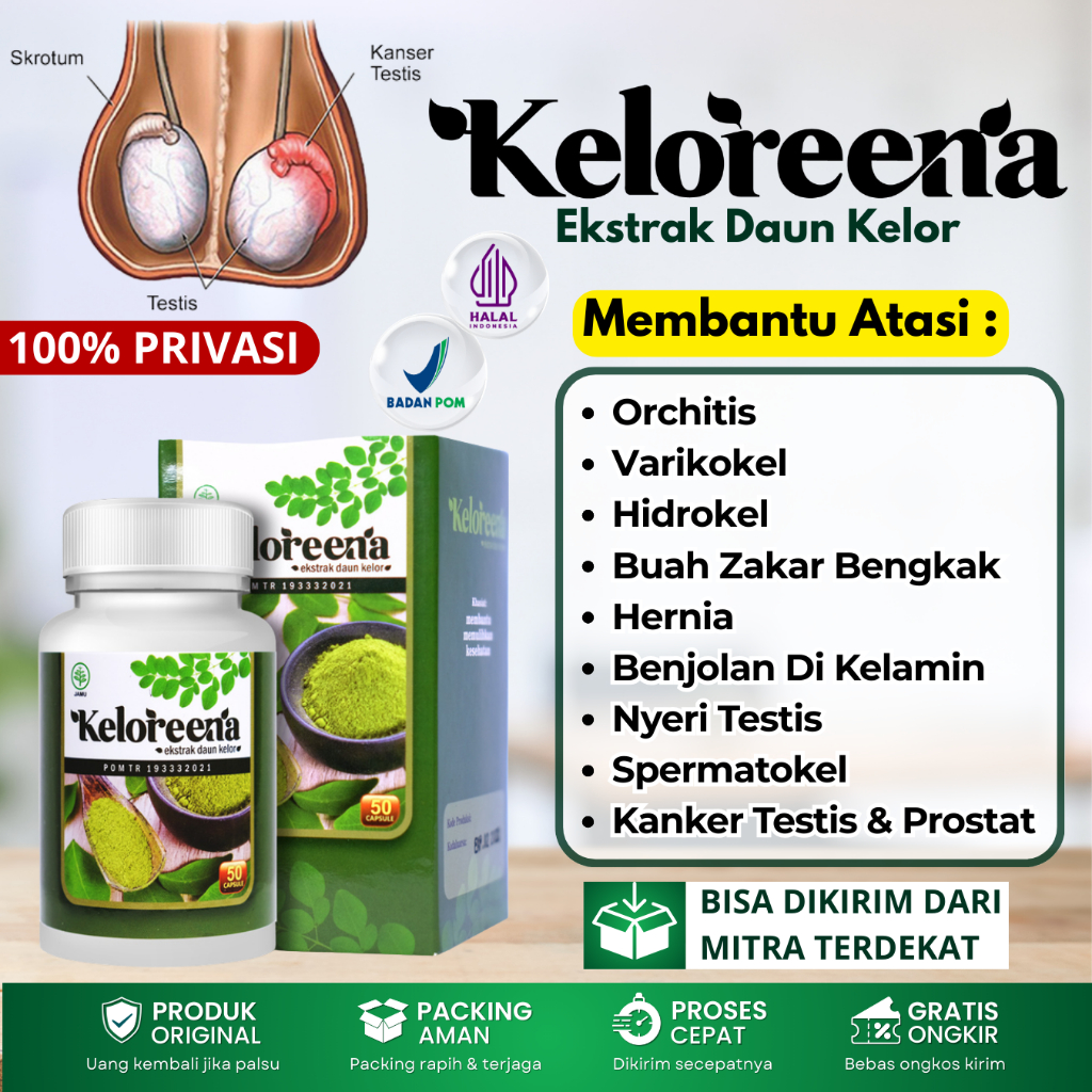Jual Obat Orchitis, Hidrokel, Varikokel, Nyeri Testis Bengkak Sebelah ...
