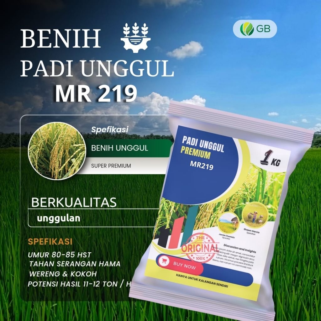 Jual Benih bibit padi unggul MR219 Kualitas terbaik kemasan premium 1kg ...