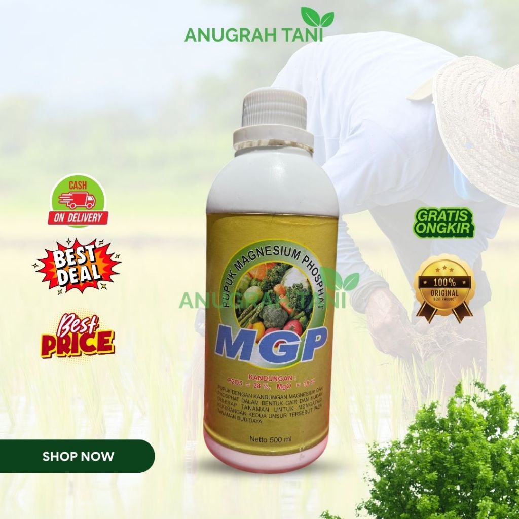Jual MGP 500MLPupuk Cair Unsur MgO dan P2o5 ang tinggi Mencegah Dan ...