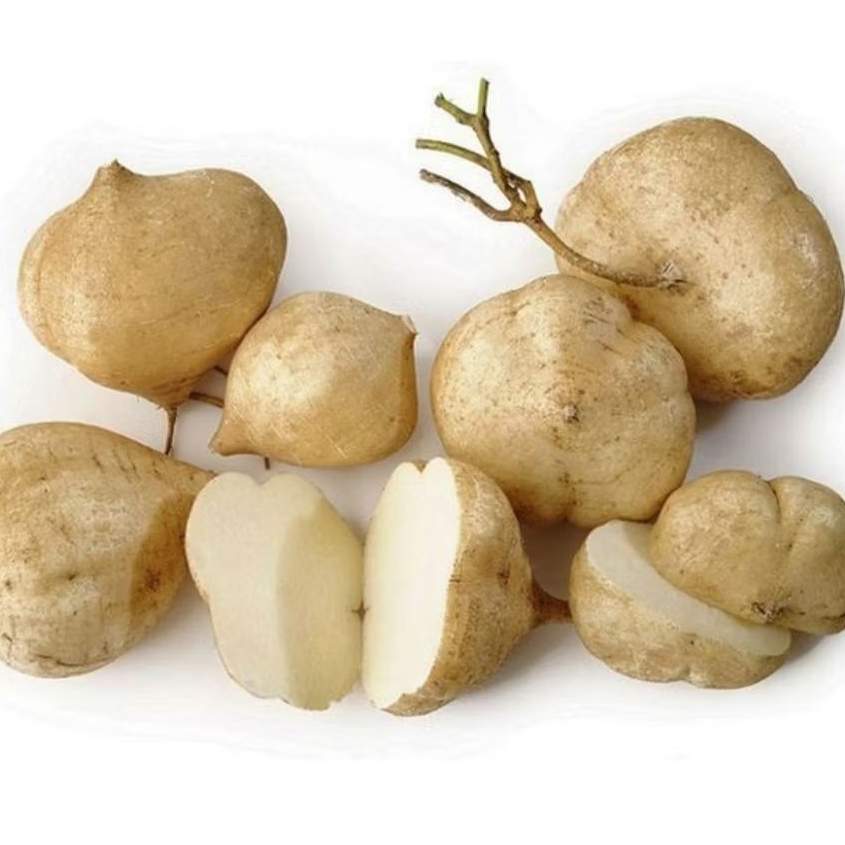 Jual Bengkuang / Bengkoang 1kg (Jambi) | Shopee Indonesia