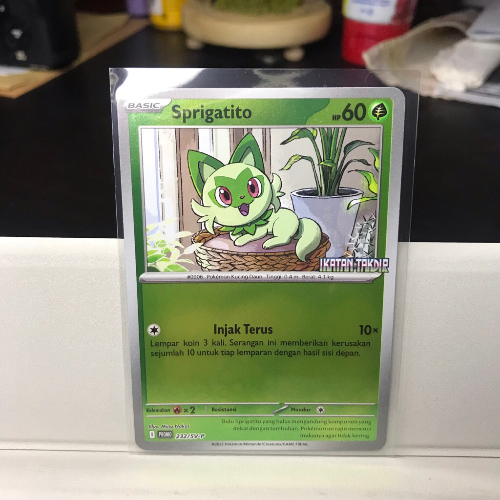 Jual Sprigatito kartu promo Pokemon Ikatan Takdir Indonesia | Shopee ...