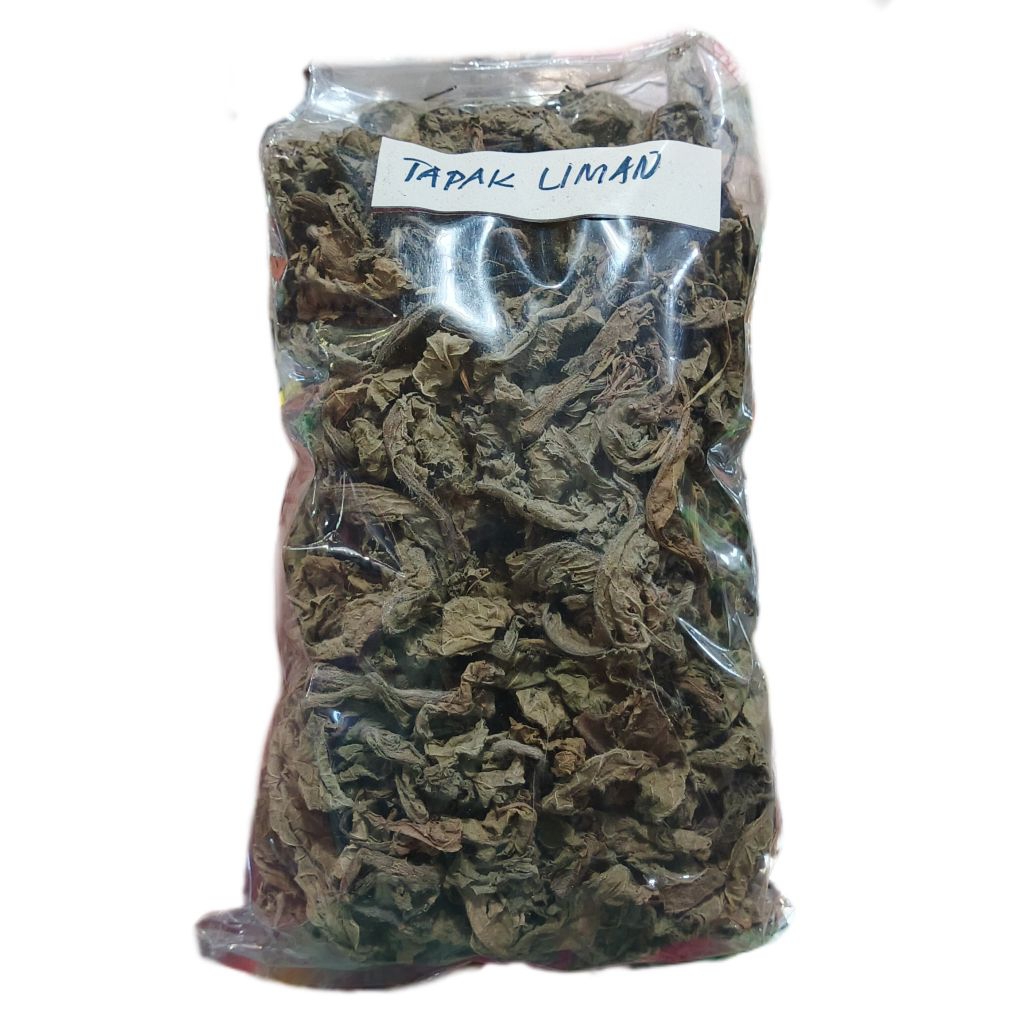 Jual Daun tapak Liman kering - daun Liman 100gr - teh Liman - tapak ...