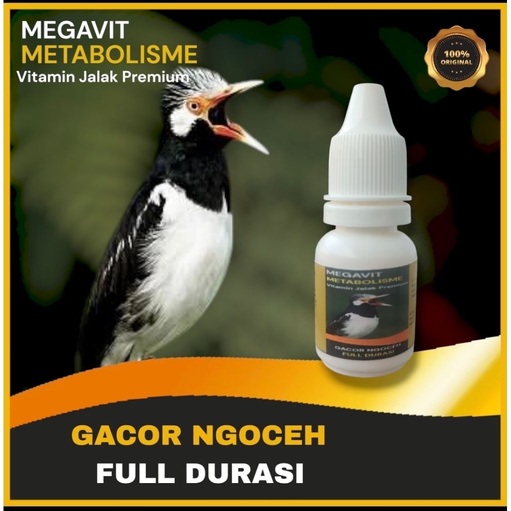 Jual Vitamin dan Doping Burung Jalak Premium Gacor ngoceh Full Durasi ...