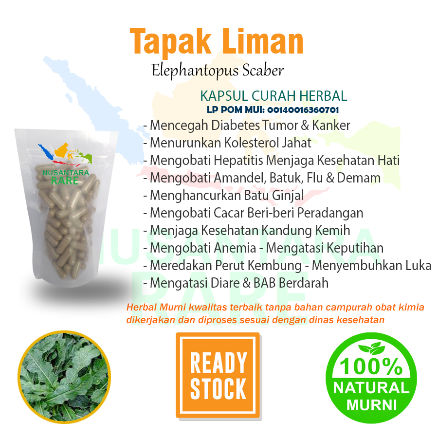 Jual TAPAK LIMAN 100 Kapsul Herbal Tumor Amandel Peradangan Hati Anemia ...