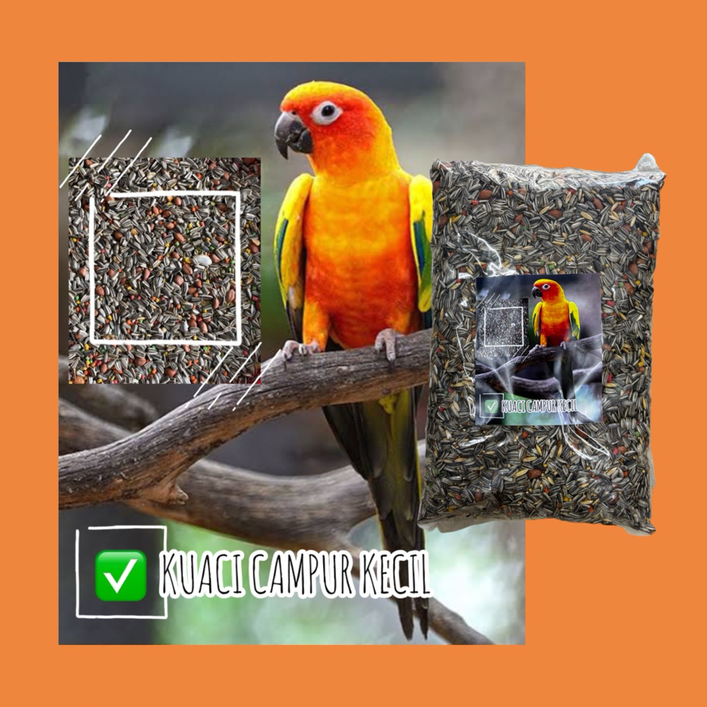 Jual KL 1kg Kacang Kuaci Bijian Makanan Parrot Burung Sun Conure Hans ...
