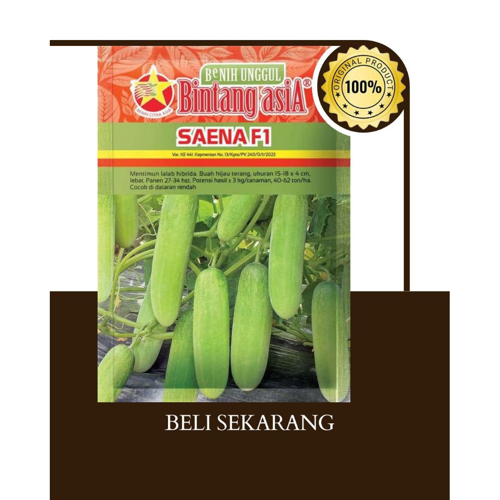 Jual Benih Timun Lalap SAENA F1 Original Bintang Asia Isi 20gr | Shopee ...