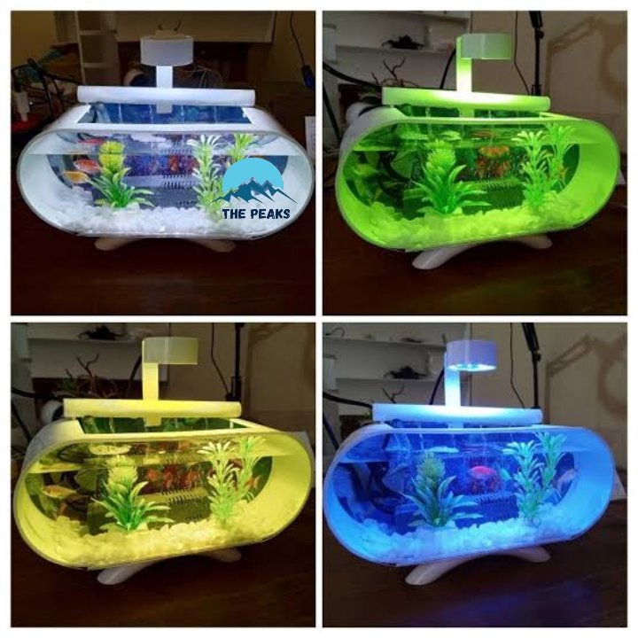Jual (The Peaks) 1 Set Aquarium Mini /Akuarium akrilik Lengkap Dengan ...