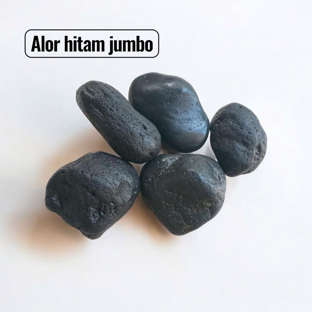 Jual Batu alor hitam jumbo 1kg/Batu hitam super jumbo 1kg/Batu koral ...