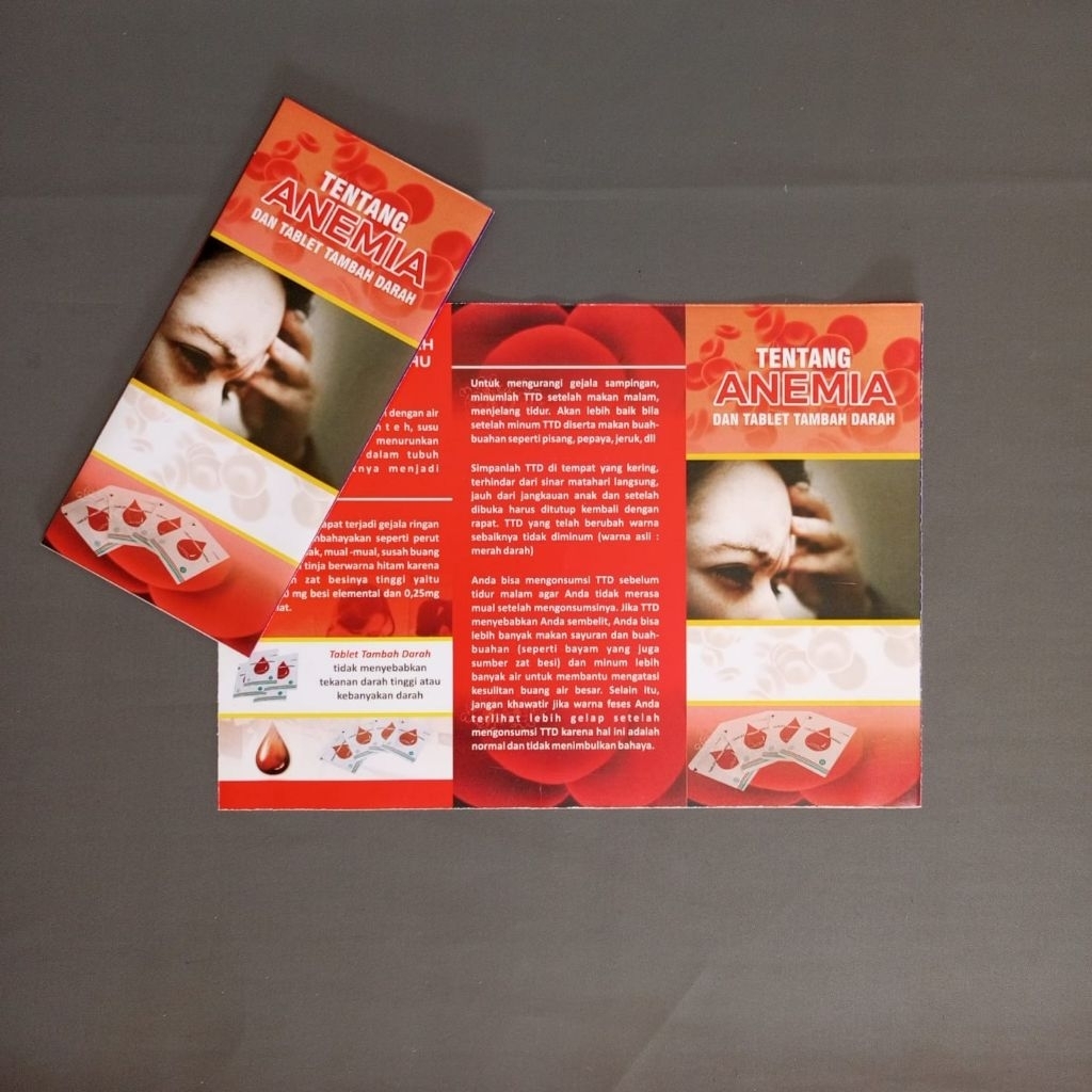 Jual Leaflet / Brosur Anemia, Leaflet Kesehatan, Media Promkes, Tablet Tambah Darah | Shopee ...