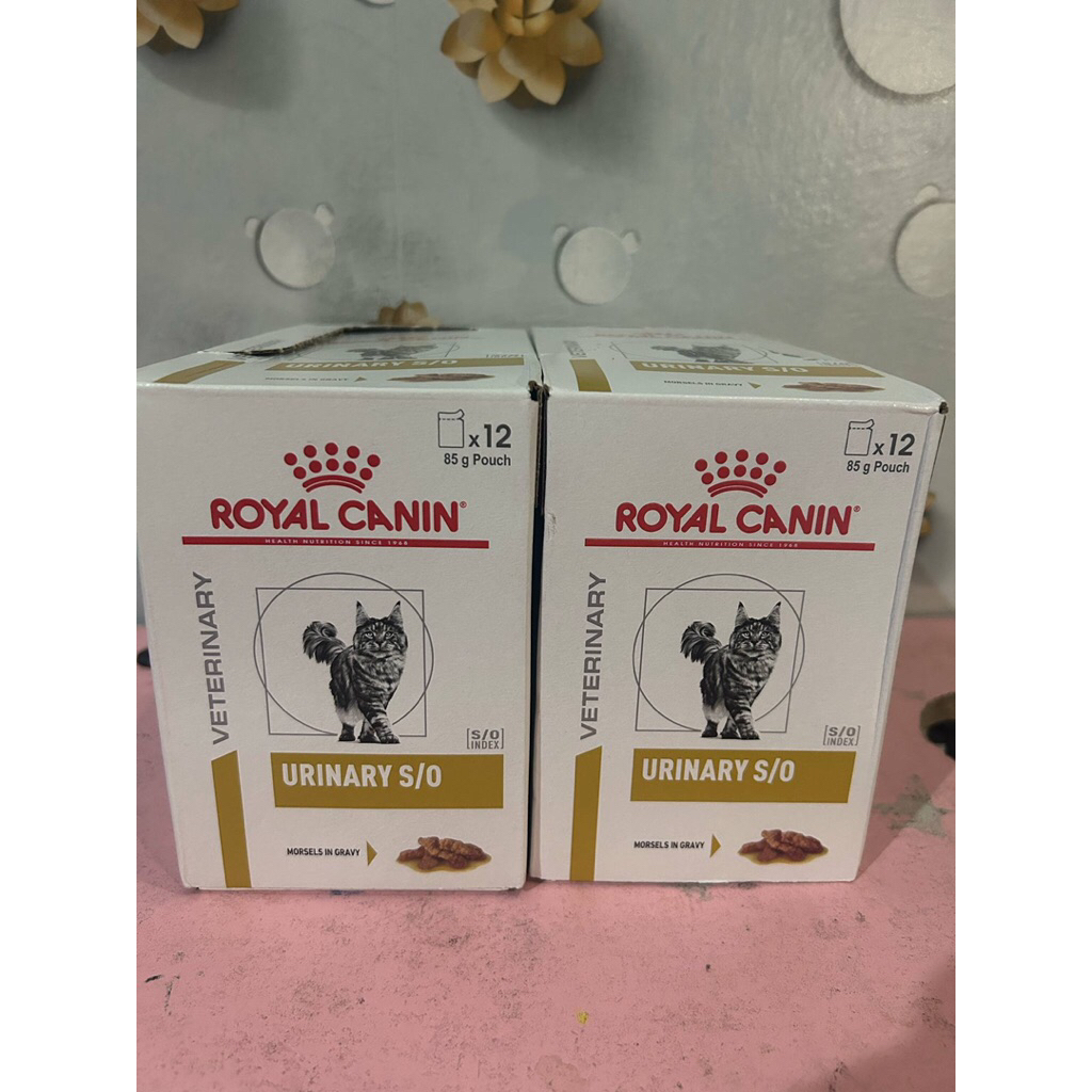 Jual ROYAL CANIN URINARY S/O URIANRY SO WET FOOD 85GR (POUCH/SACHET ...