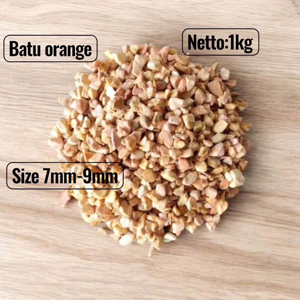 Jual Batu sikat orange 1kg/Batu koral orange/Batu oren/Batu krilil oren ...